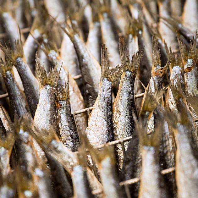 Rencontre avec Chloé, productrice de sardines de notre Collection