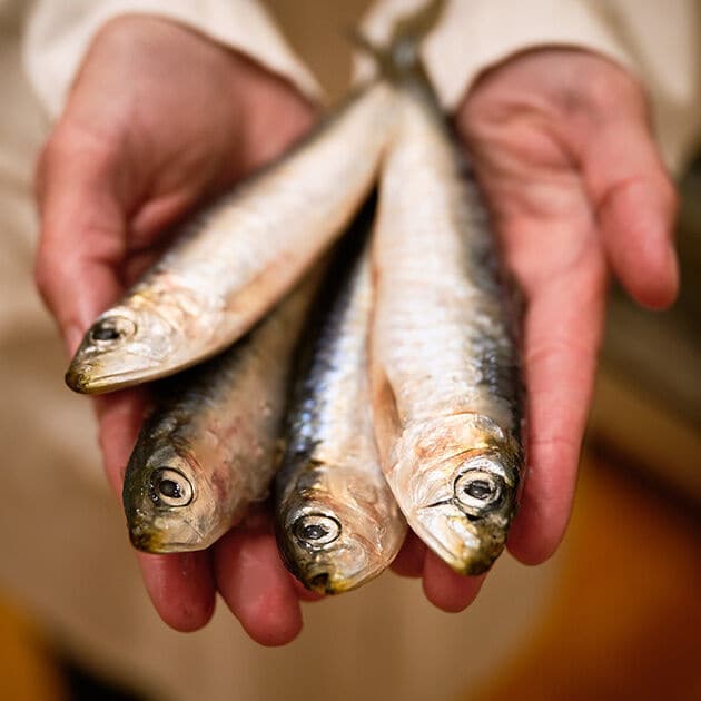 Rencontre avec Chloé, productrice de sardines de notre Collection